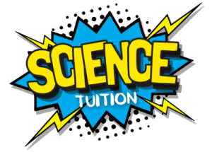 Science Tuition - Expert Tuition in Bristol